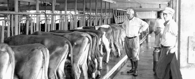 Graham Companies - Main Street Miami Lakes